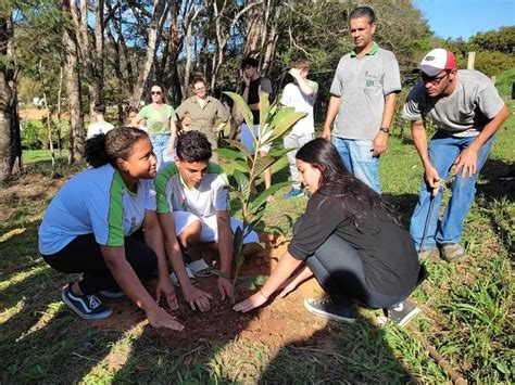 Dia da Árvore é comemorado no campus Rio Pomba distribuição e
