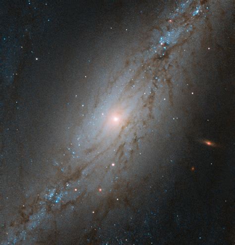 Hubble Snaps Image Of Barred Spiral Galaxy Ngc Sci News