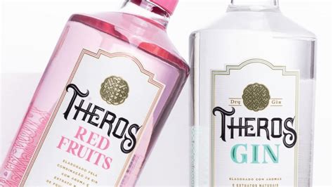 Salton Blog Como fazer gin tônica veja 3 receitas