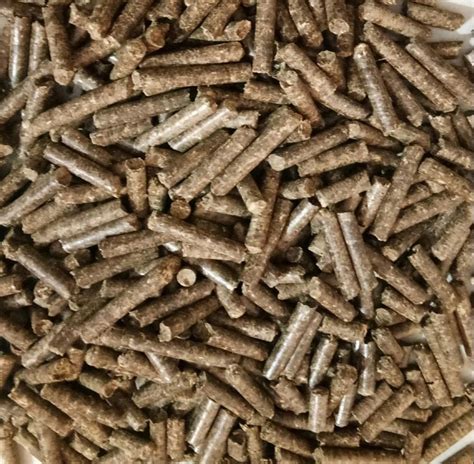 Brown 10mm Biomass Sawdust Pellet At Rs 10 Kg In Raipur ID 2853458724433