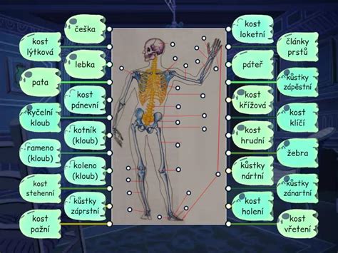 Kostra Ozna En Diagram