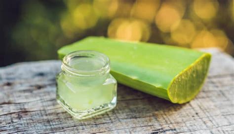 Hojivá mast z aloe vera na pokožku spálenou sluncem Žiju TU