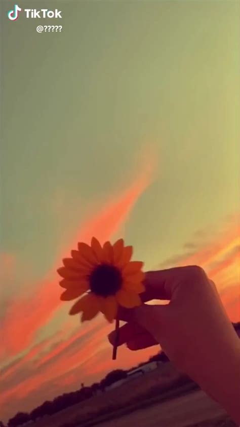 87 Aesthetic Pics For Tiktok IwannaFile