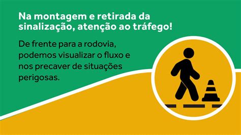 Programa Caminho Seguro Animação Conserva YouTube