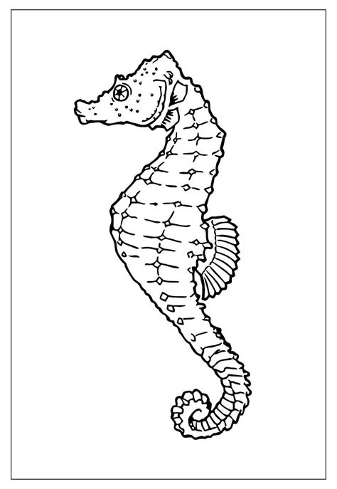 Desenhos De Cavalo Marinho Para Colorir Tudo Para Colorir