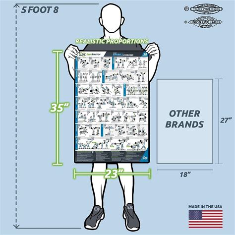 EverStretch Barbell Workout Poster Large 23x35 Laminated Chart With