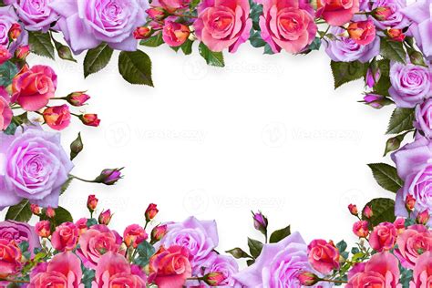 Flower Border Frame Background Flower Background Floral Frame