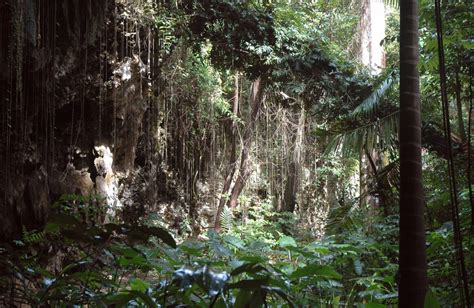 Banco de imagens panorama árvore natureza ao ar livre região