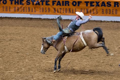 Rodeo Dallas Texas 2024 Lita Sherri