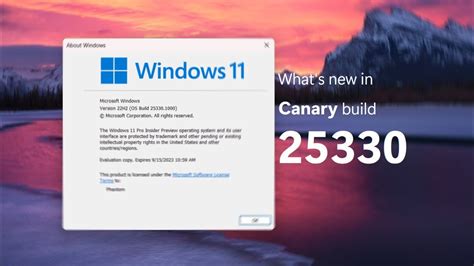 Small Bits And An XAML Home Windows 11 Canary Build 25330 And What S