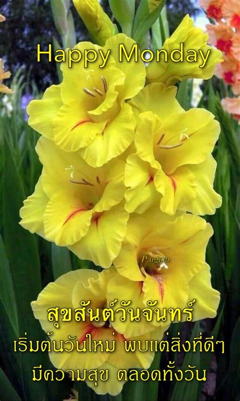 Yellow Flowers With The Words Happy Monday In Thai