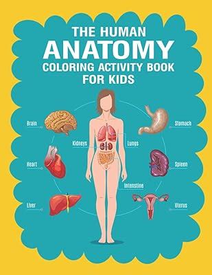 Le Livre Dactivit S De Coloriage Sur Lanatomie Humaine Pour Les