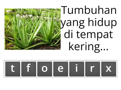 IPA Adaptasi Tumbuhan Anagram