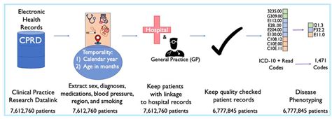 representation learning data selection pipeline we use clinical download scientific diagram