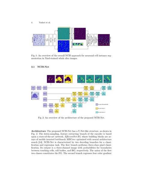 ncis deep color gradient maps regression and three class pixel classification for enhanced