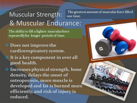 Explain The Difference Between Muscular Strength And Muscular Endurance