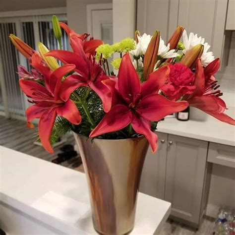 Découvrir 48 kuva planta flor de liz Thptnganamst edu vn
