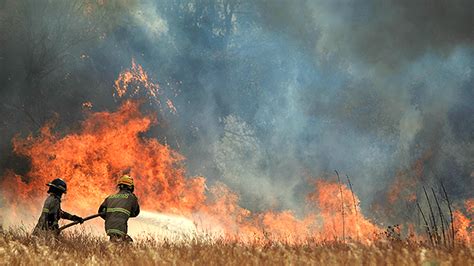 Más de la mitad de áreas quemadas por incendios forestales en última