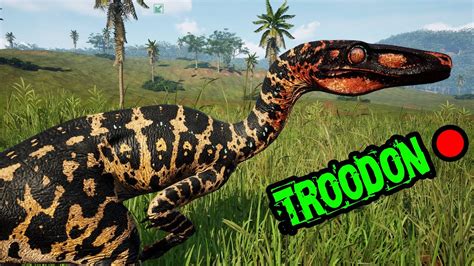 LIVE Troodon Trouble 6 5 Stress Test The Isle Evrima YouTube