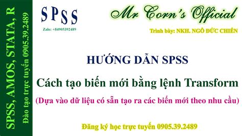 H Ng D N Spss C Ch T O Bi N M I B Ng L Nh Transform Trong Spss