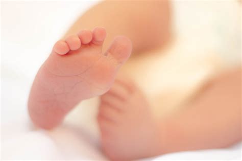 Fotos gratis mano pétalo Pies linda pierna niño brazo uña