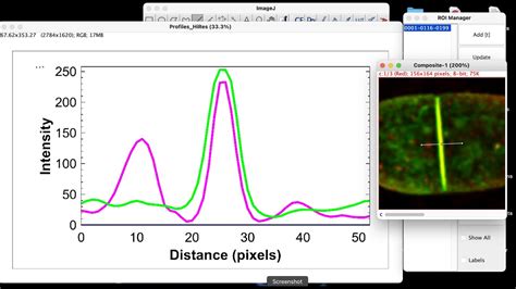 How To Plot Profile Intensity For Multiple Fluorescence Images In
