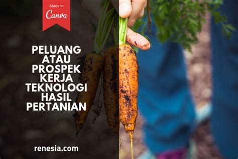 Prospek Kerja Teknologi Hasil Pertanian Homecare24
