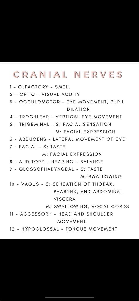 Cranial Nerve Cheat Sheet I Put Together Nursing Students You Will