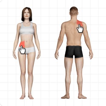 Pes Anserinus Syndrome Physio Check