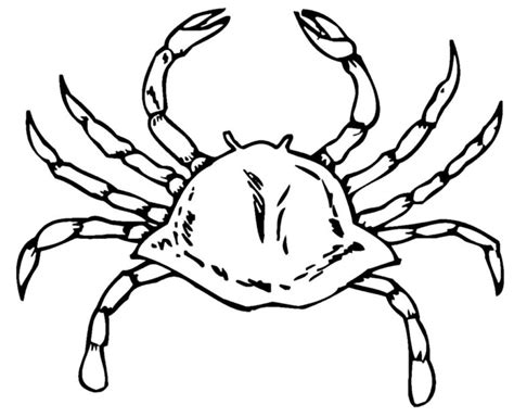 30 Desenhos De Caranguejo Para Colorir Pop Lembrancinhas