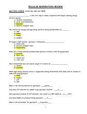 Cell Respiration Review ANSWERS Pdf CELLULAR RESPIRATION REVIEW