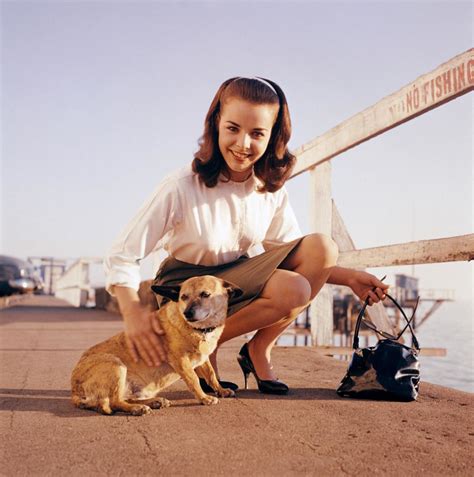 Notablehistory On Twitter Rt Notablepics Playmate Judi Monterey S