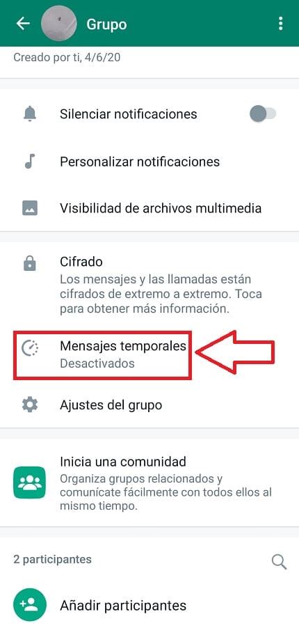 Activar Los Mensajes Temporales En Un Grupo De WhatsApp 2024