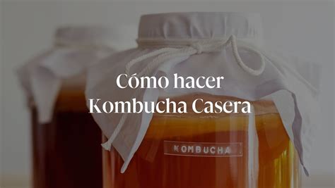Propiedades de la KOMBUCHA qué es y receta casera TESUKO