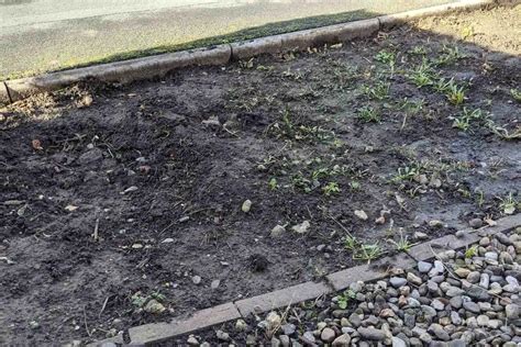 Kill Weeds Before Laying Gravel Effectively With These Methods
