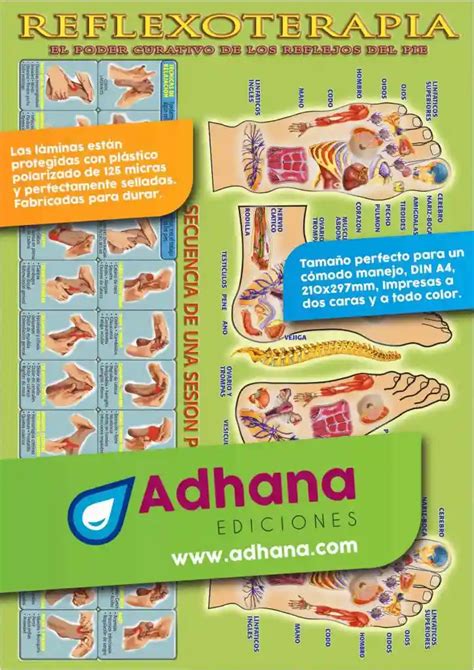 L Mina De Reflexolog A De Los Pies Adhana L Minas Y P Ster