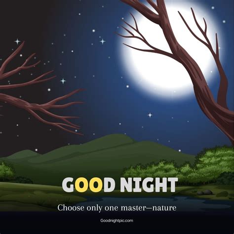 Stunning Compilation Of Full 4K Good Night Nature Images Over 999