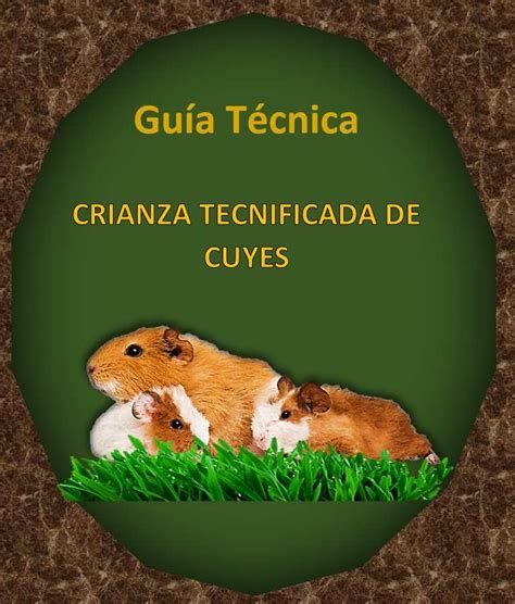Guía Técnica Crianza Tecnificada de Cuyes Corporación Biológica