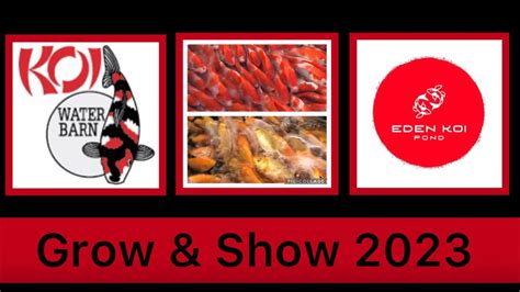 Kwb Grow And Show Details And Plans Dont Miss Out On Some Cool Koi