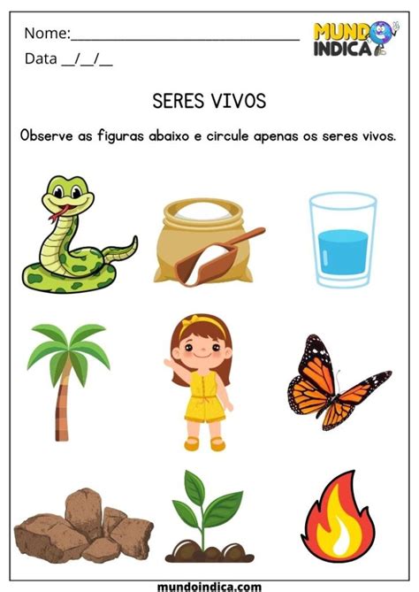 20 Atividades de Ciências 1 Ano Fundamental para Imprimir