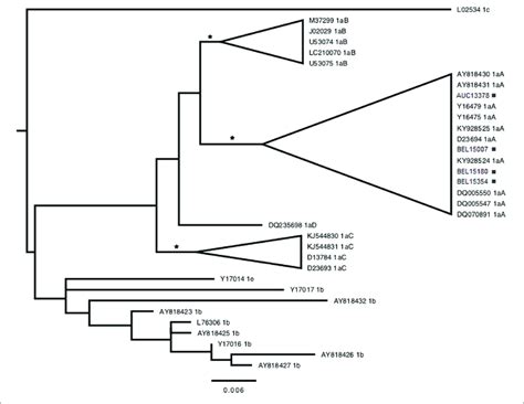 phylogenetic tree constructed by maximum likelihood using long download scientific diagram