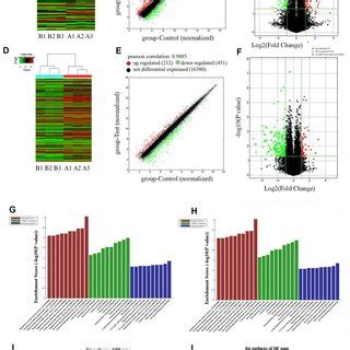 Microarray Analysis Of Lncrnas Long Non Coding Rna And Mrnas In P