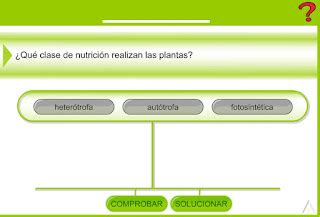 La Clase De Flor De Primaria Naturaleza Ud La Importancia De La