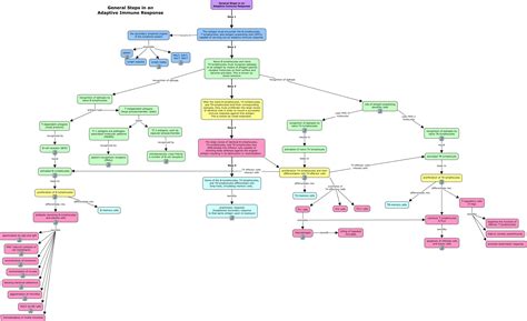Immune System Concept Map