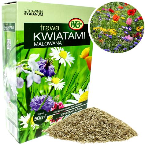 TRAWA KWIATAMI MALOWANA ŁĄKA KWIETNA KWIATOWA KWIATY MIESZANKA NASIONA