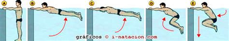 Pasos Para Nadar En Estilo Libre Paso Aprender A Flotar