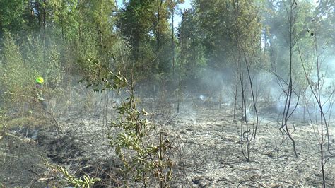 Waldbrand im Kreis Haßberge Feuerwehr kämpft mit Großaufgebot gegen