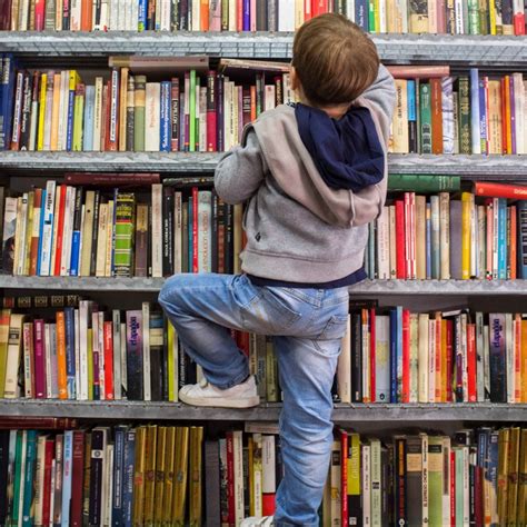 Total 64 Imagen Frases Para Celebrar El Dia Del Libro Abzlocal Mx