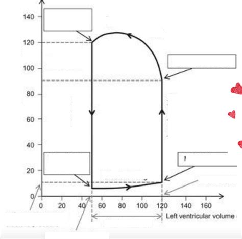 Exsc Pressure Volume Loop Diagram Quizlet
