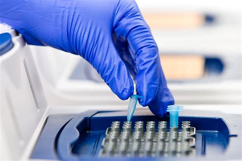 Cuál es la diferencia entre la PCR y la prueba rápida de coronavirus